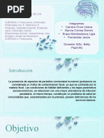 Protozoos Sarcodinos G5 | PDF | Organismos | Biología