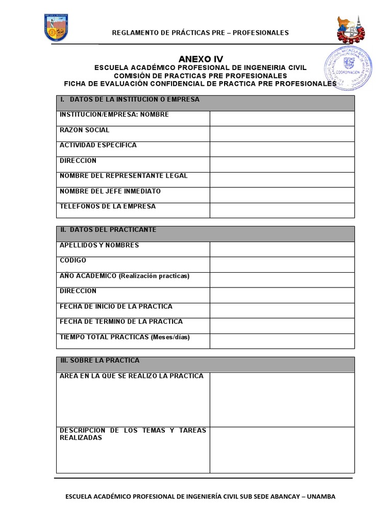 Formato Anexo IV | PDF