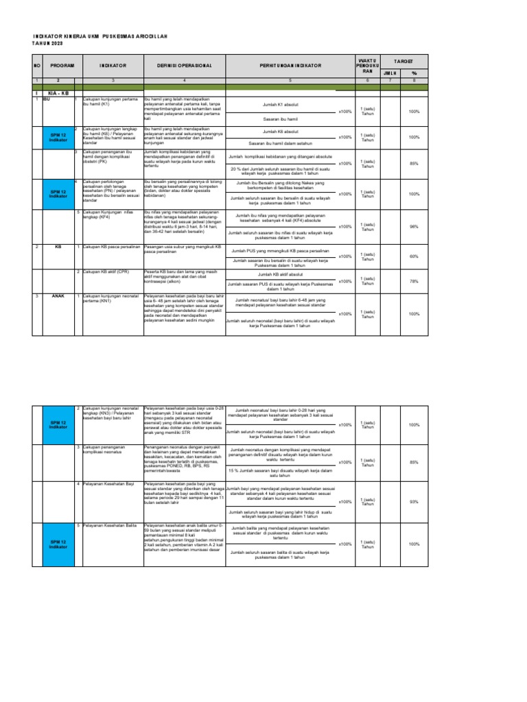 Indikator Kinerja KB | PDF