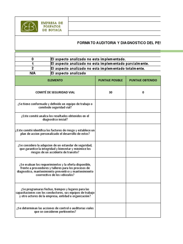 FT-SST-118 Formato Auditoria y Diagnostico Del PESV | PDF | Seguridad vial