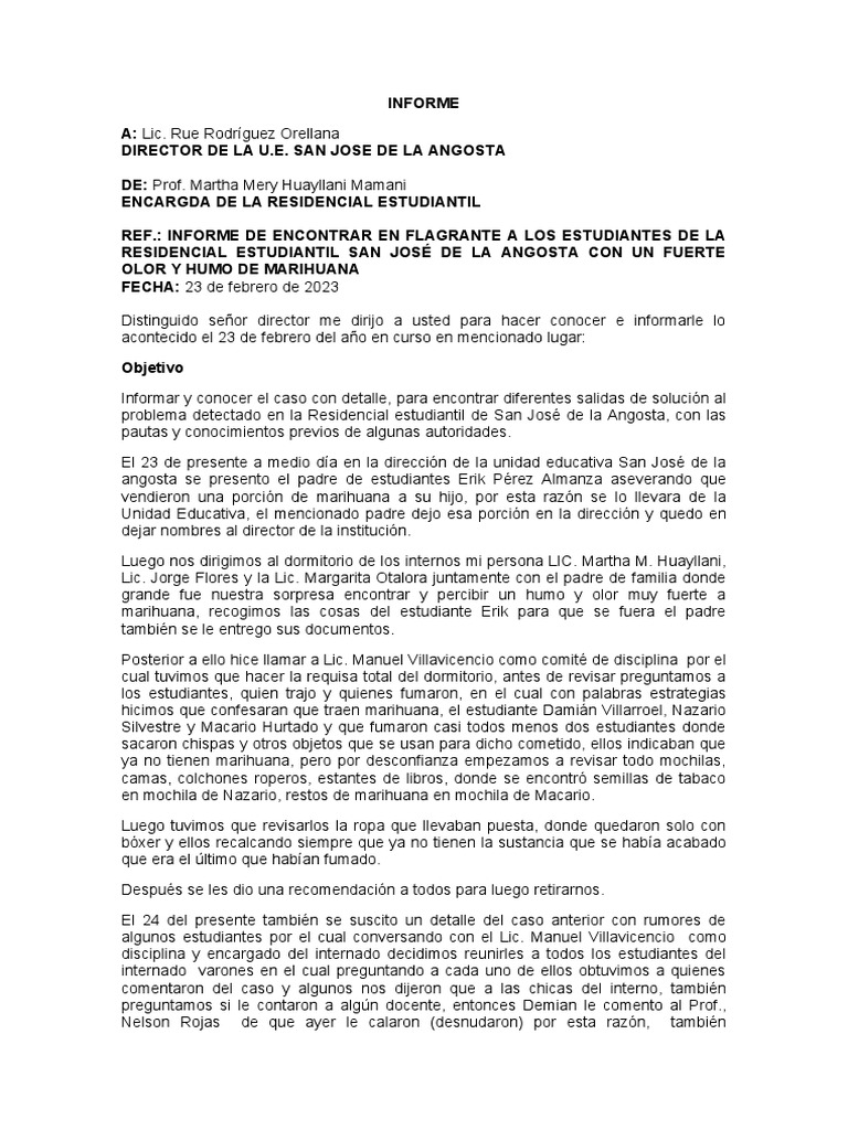 Informe de Internado | PDF