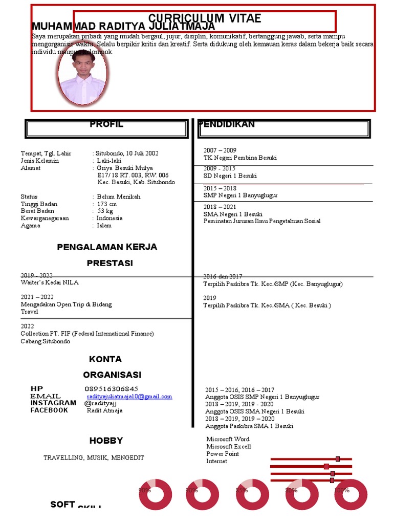 CV Adit Curriculum Vitae PDF | PDF