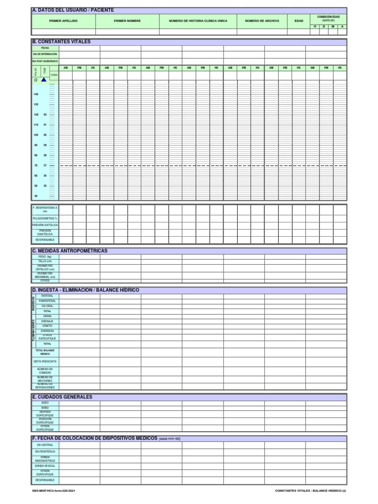020 Constantes Vitales Comision Definitivo | PDF
