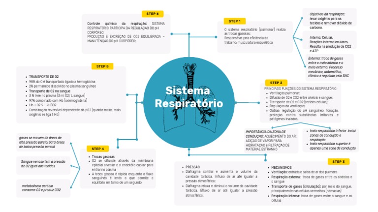 White Blue Clean Simple Workflow Mind Map Brainstorm (1) | PDF ...