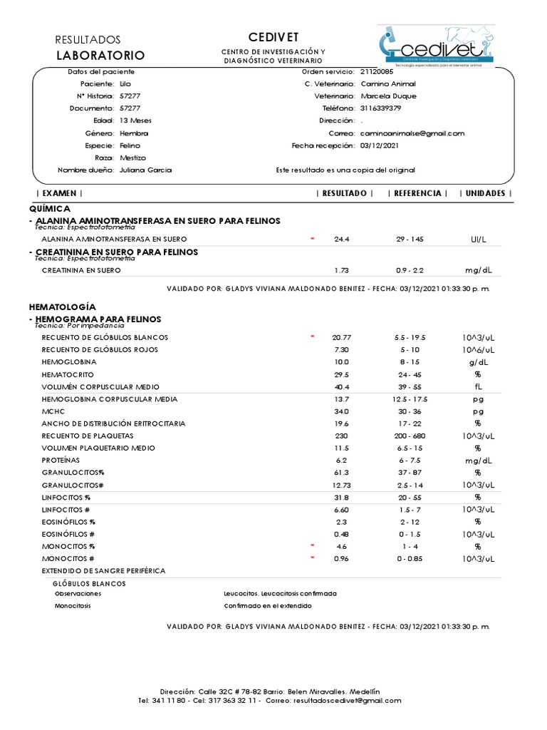 21120085.lilo - Ppq.felino - Camino Animal | PDF
