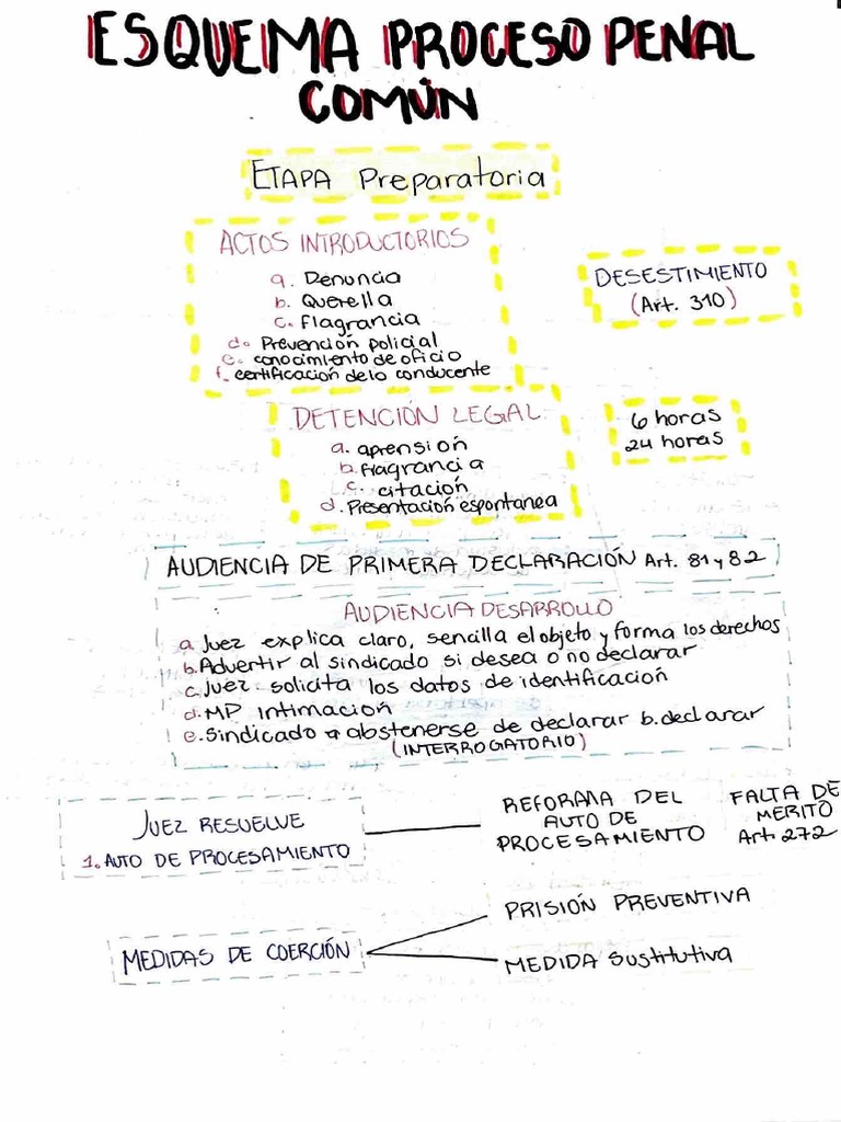 Esquema Del Proceso Penal | PDF