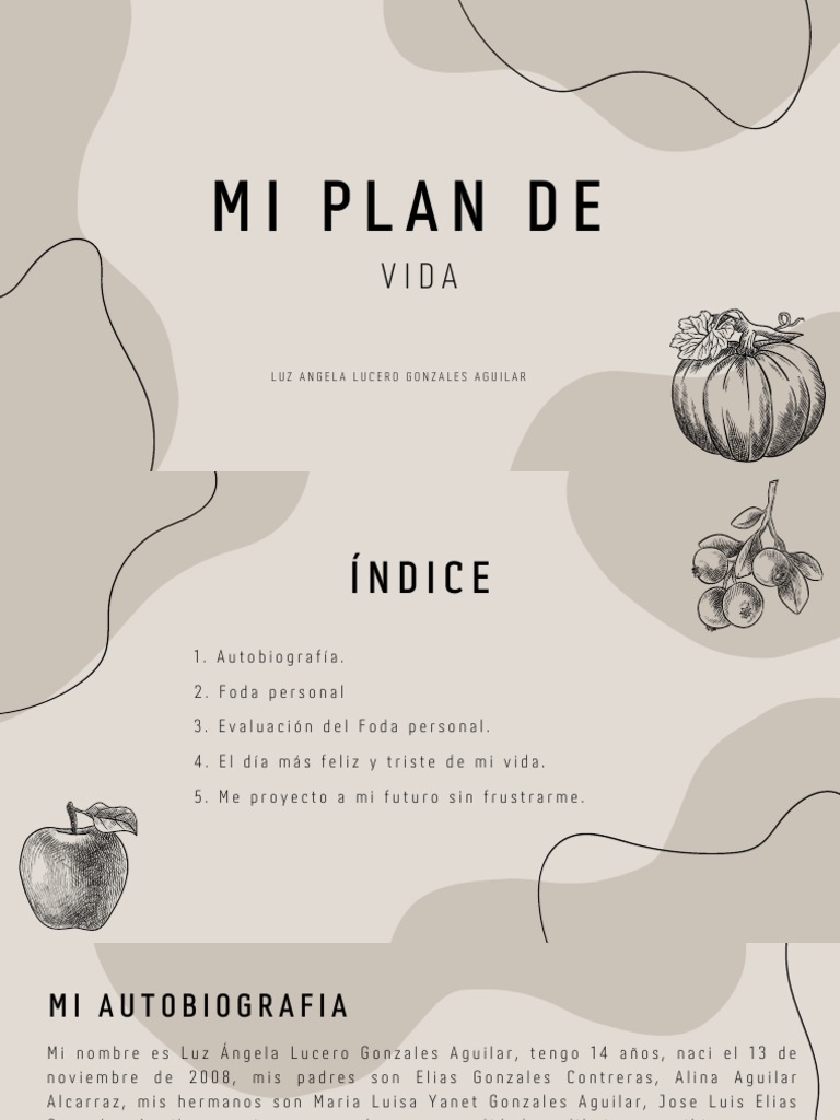 Plan de Vida | PDF