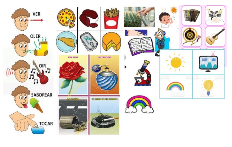 5 SENTIDOS Recortes | PDF