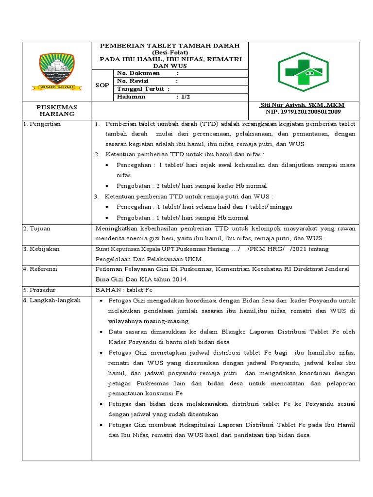 Pemberian TTD Bagi Ibu Hamil Dan Bufas | PDF