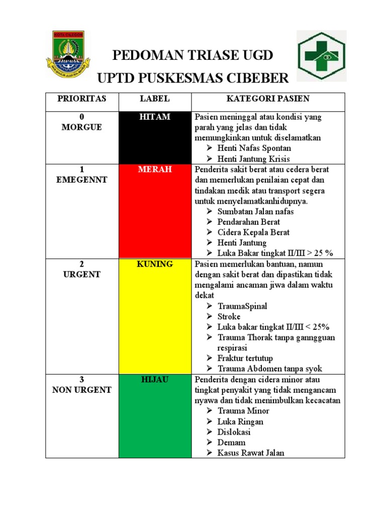 PEDOMAN TRIASE UGD | PDF