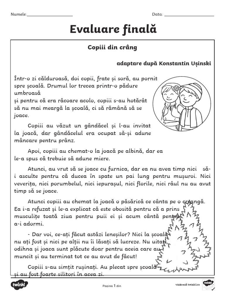 LC 6538 Clasa A Iia CLR Evaluare Finala Fi de Evaluare Cu Descriptori de Pe | PDF