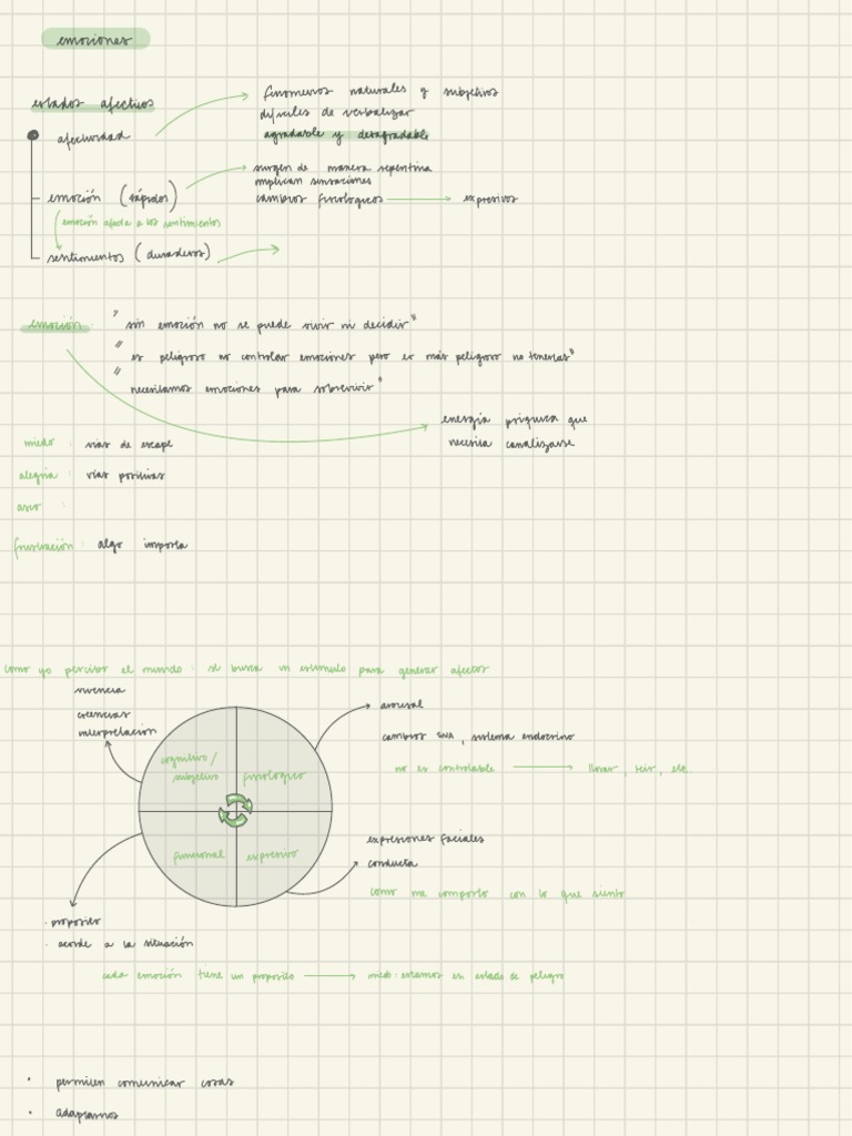 Apuntes Emociones Pdf Las Emociones Temor