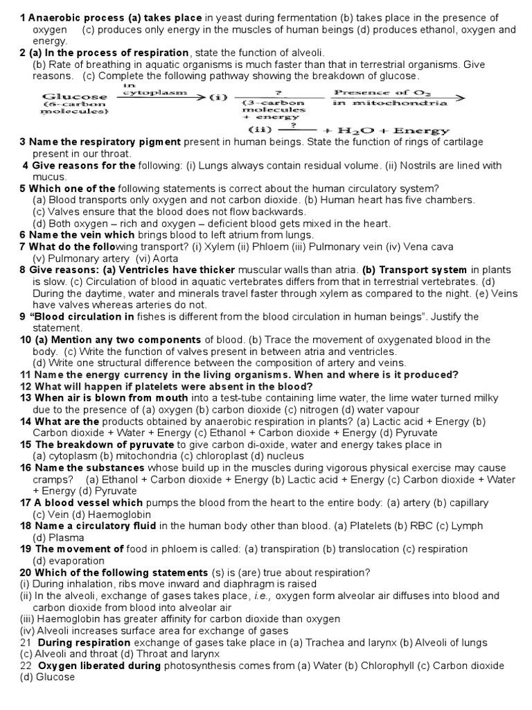 biology class test 10 2023 cb | PDF | Respiratory System | Heart