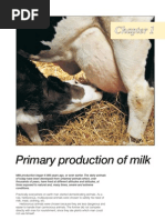 Milking Procedure Pro PDF | PDF | Dairy | Clinical Medicine