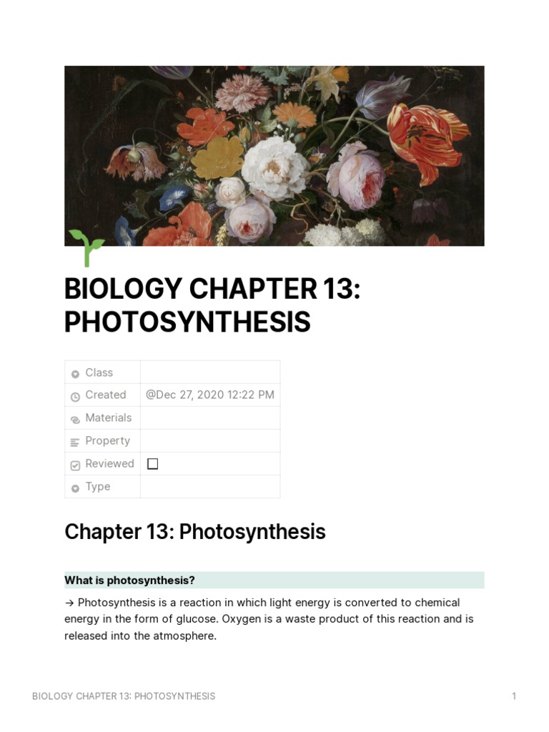 Biology Chapter 13 Photosynthesis | PDF | Photosynthesis | Biology
