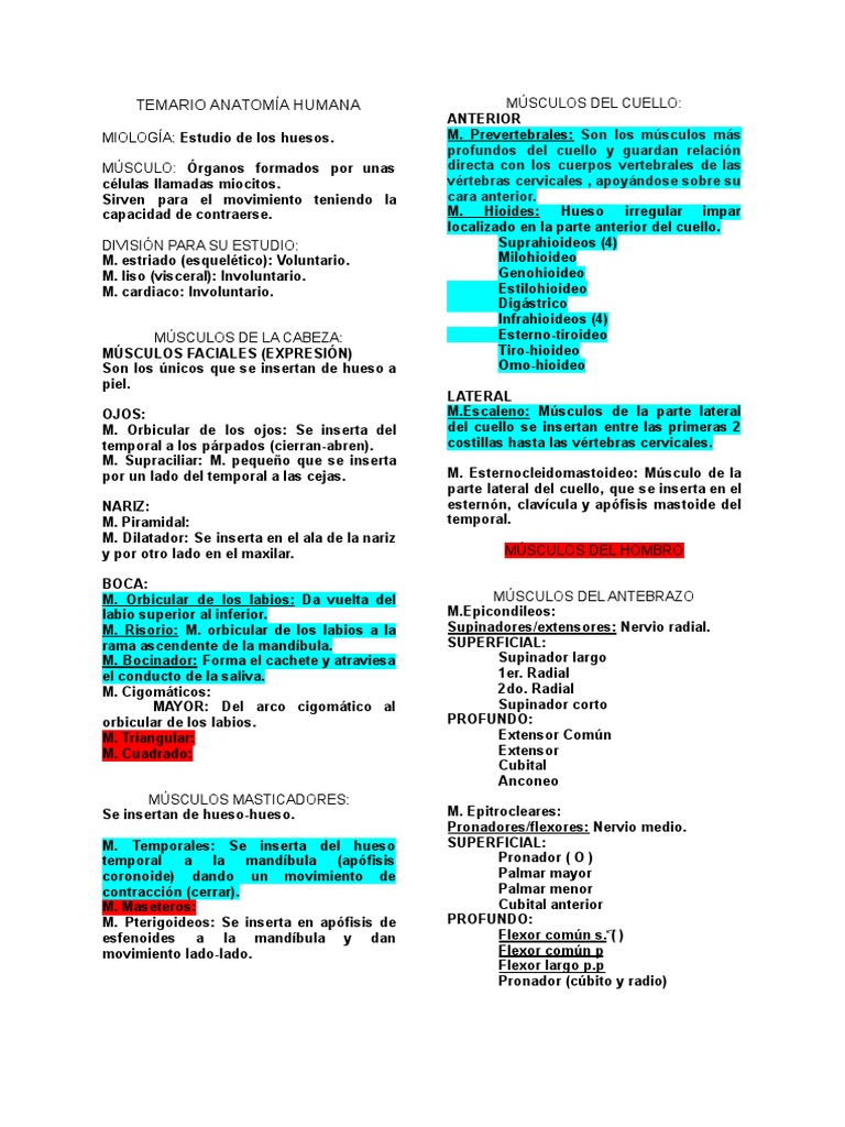 Temario Anatomía Humana | PDF | Anatomía humana | Anatomía