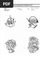 FAB Test Evaluacion Frontal | PDF | Cognición | Prueba / examen