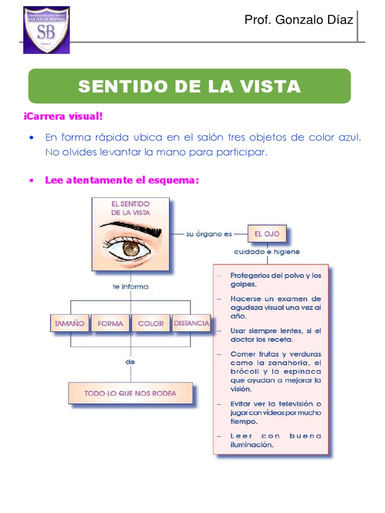 Actividades para aprender sobre la vista | PDF | Crecimiento personal y ...