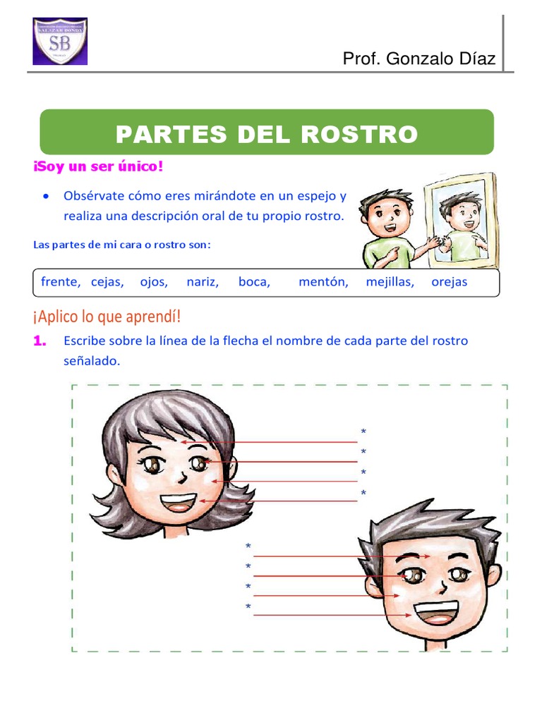 Partes Del Rostro | PDF