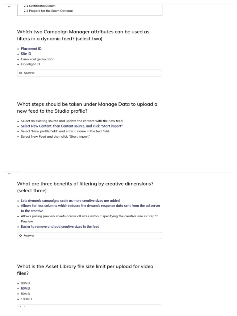 Google Creative Certification | PDF