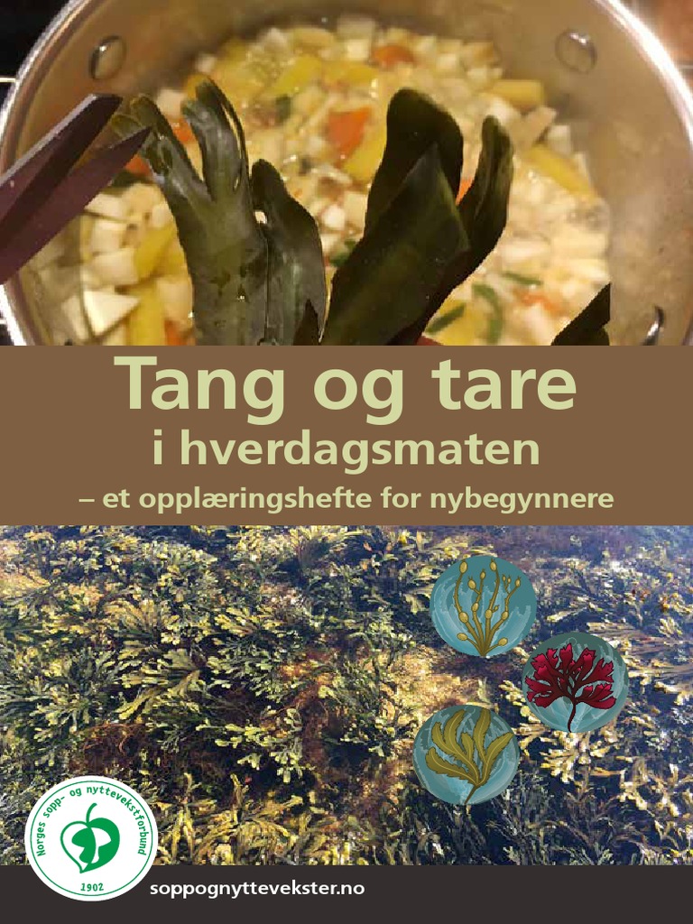 Tang Og Tare Hefte 2022 - Low | PDF