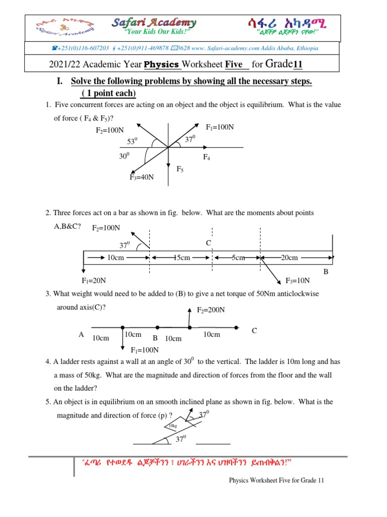 Physics Worksheet | PDF | Buoyancy | Force