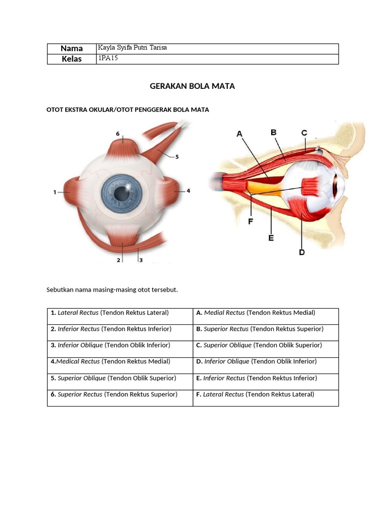 Tugas Sistem Visual 1 | PDF