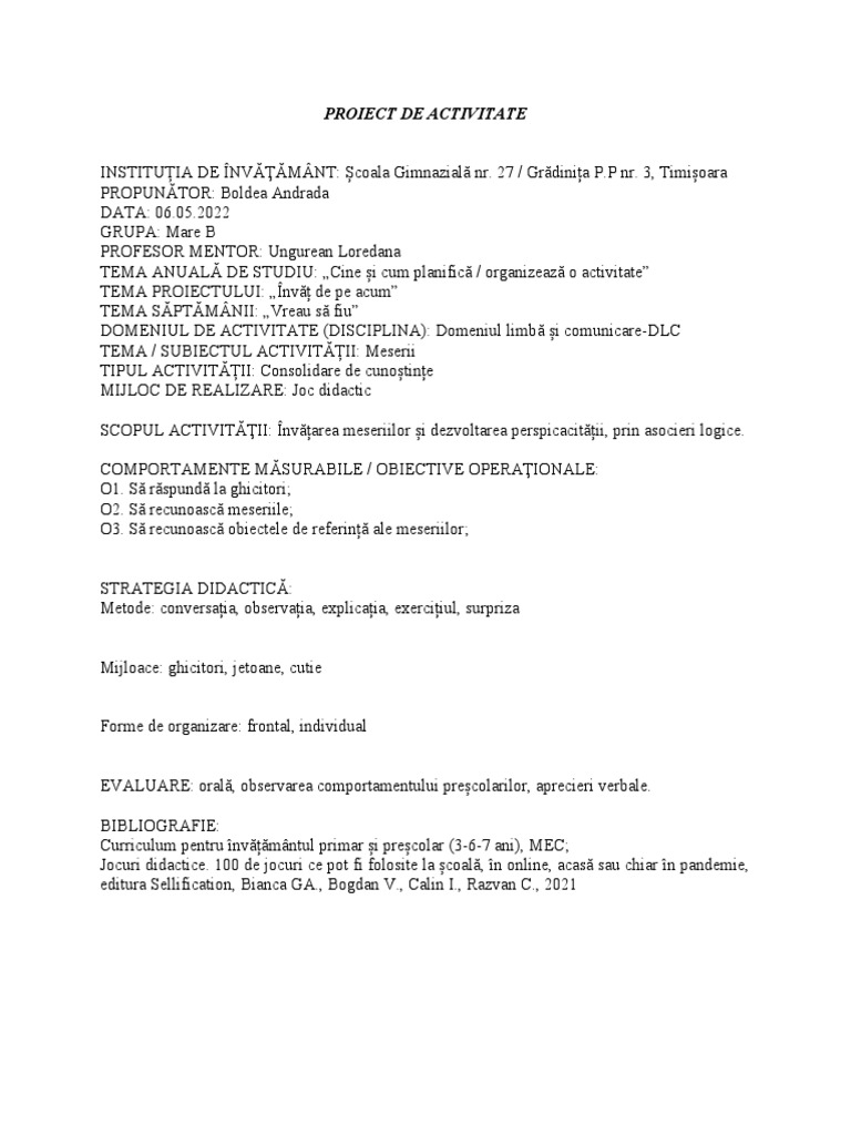 Proiect Activitate Joc Didact Boldea Andrada | PDF