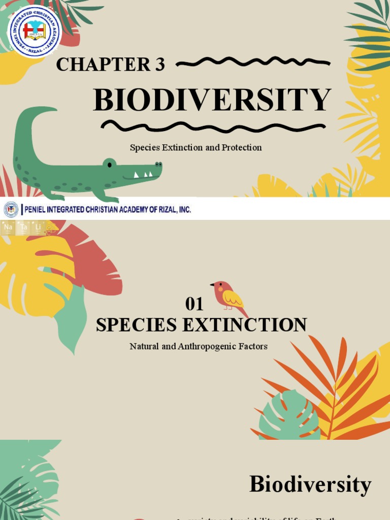 Biodiversity Lesson Grade 9 | PDF | Biodiversity | Extinction