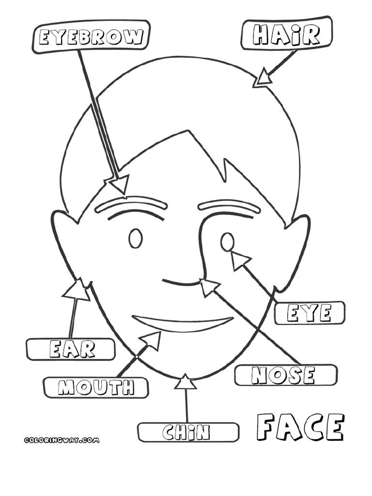 Face | PDF