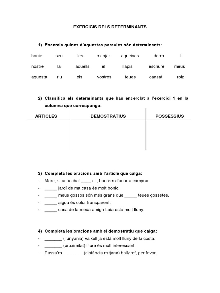 Exercicis Dels Determinants | PDF