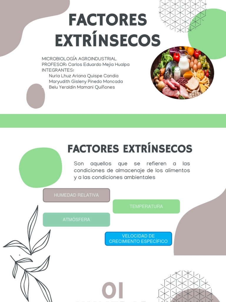 Factores Extrínsecos | PDF | Ciencia y matemáticas