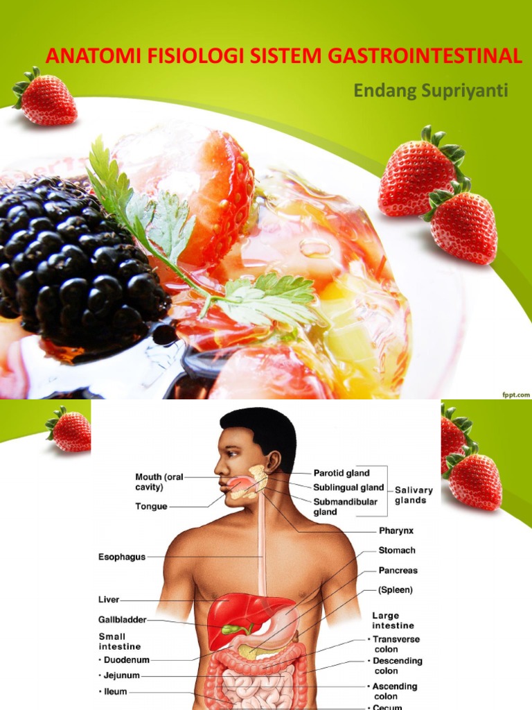 Anatomi Fisiologi Bagi Tubuh | PDF