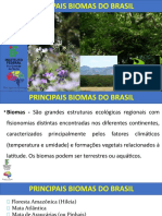 Capa Trabalho Ciencias Bioma Brasileiro | PDF