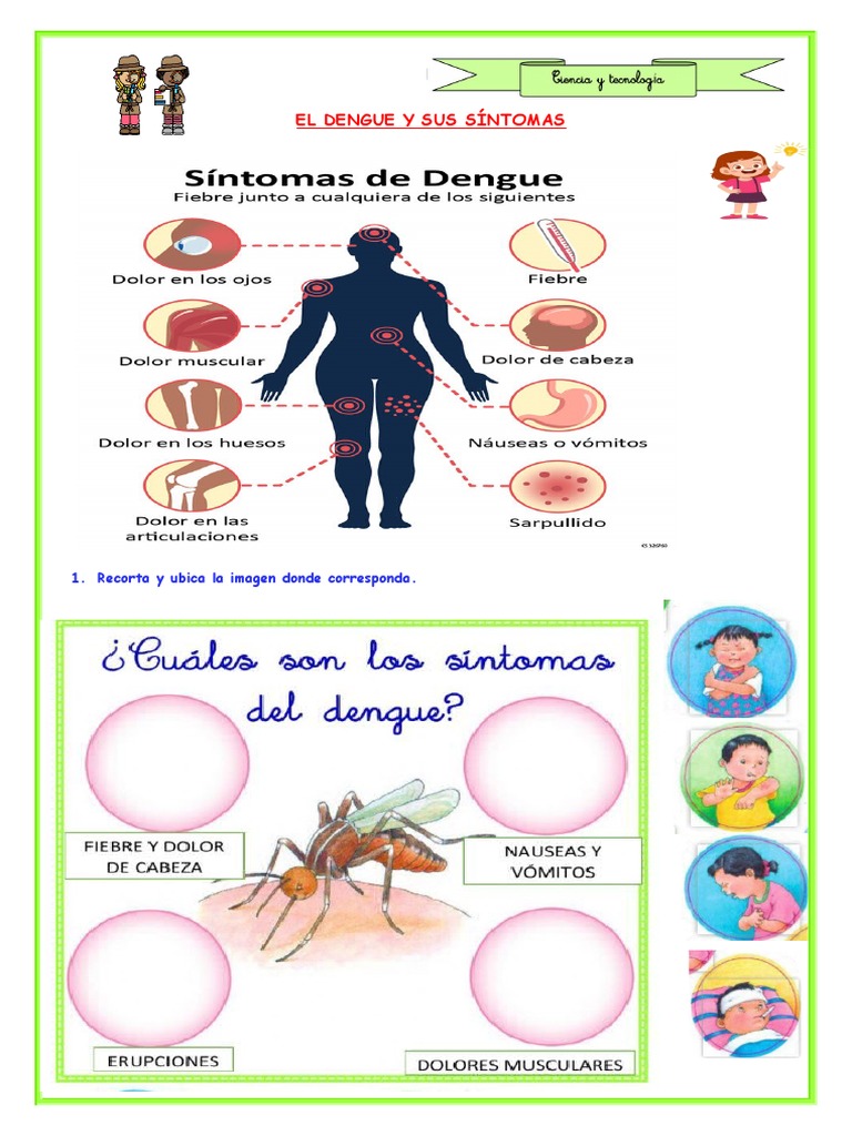 Ficha CT El Dengue y Sus Sintomas | PDF