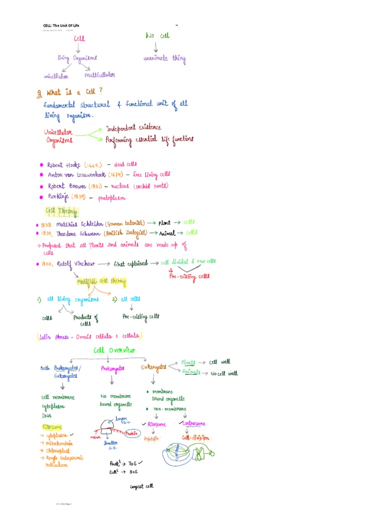 Competitive Class | PDF