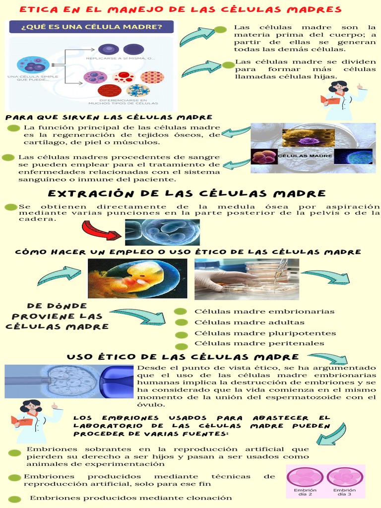 Funciones y ética de las células madre | PDF