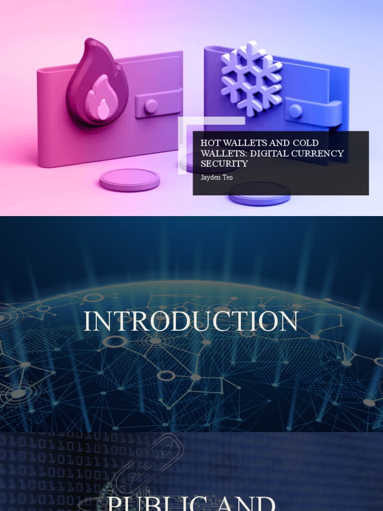 Hot Wallets and Cold Wallets | PDF