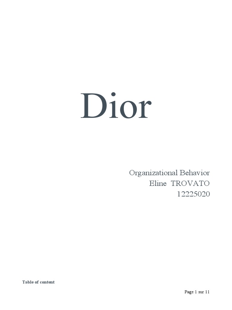Organizational Behavior, Dior | PDF