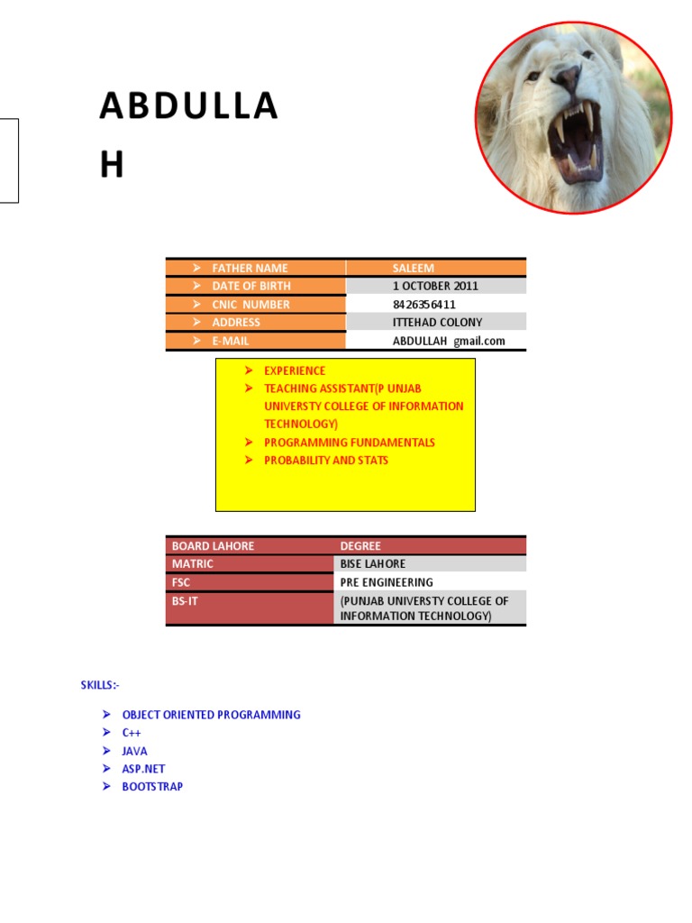 Abdulla H: Saleem | PDF