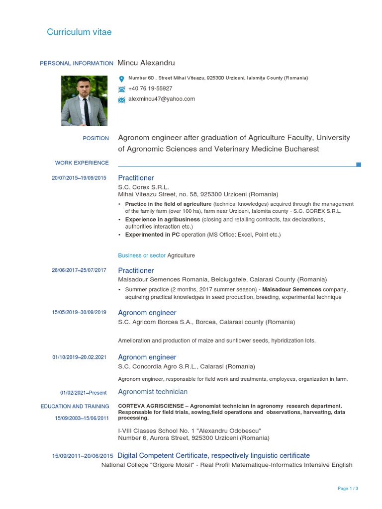CV Mincu Alexandru en | PDF