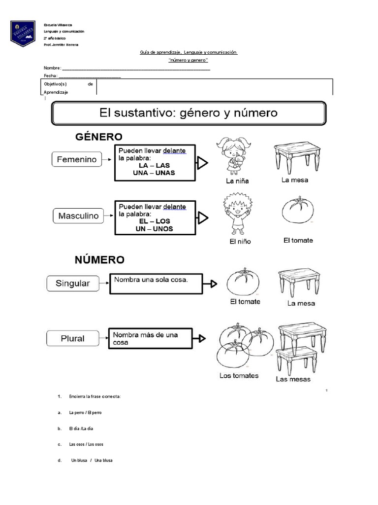 Guia de Genero y Numero | PDF