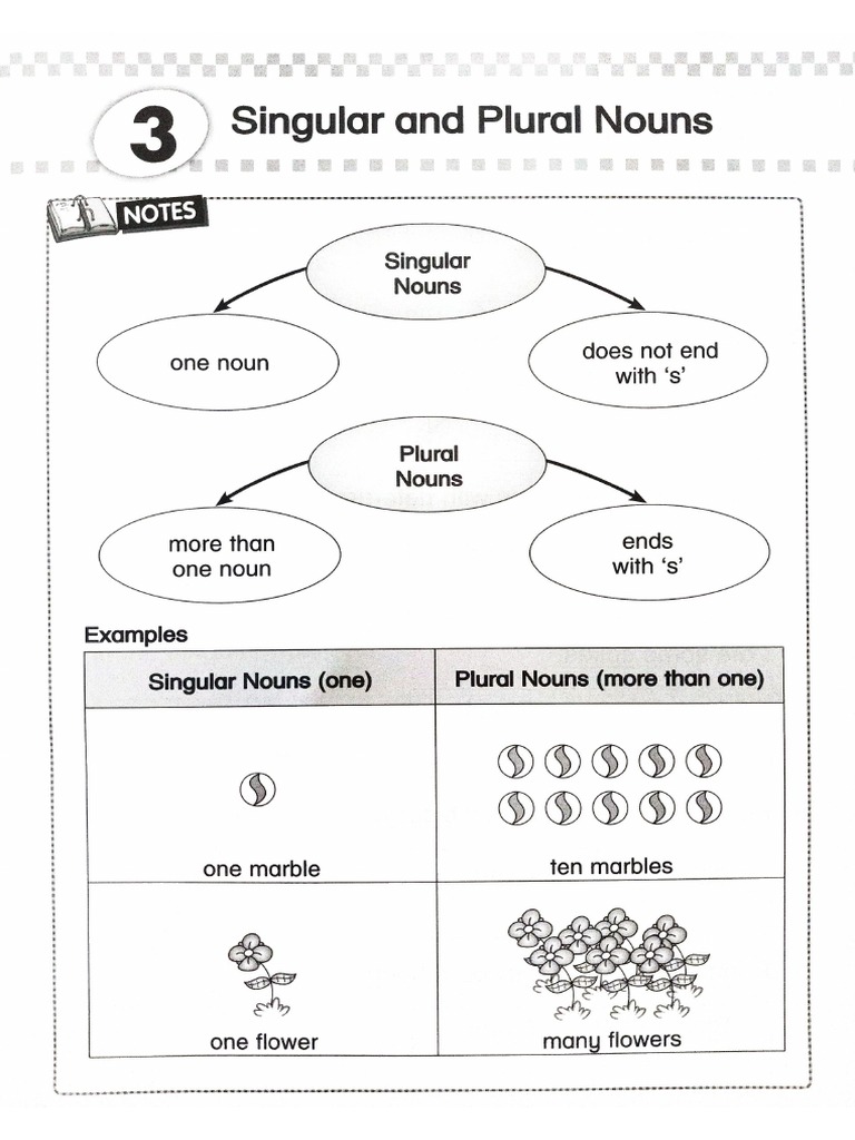 English Grammar Std1 | PDF