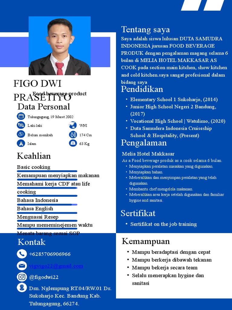 CV Figo Dwi Prasetiyo | PDF | Karier & Perkembangan