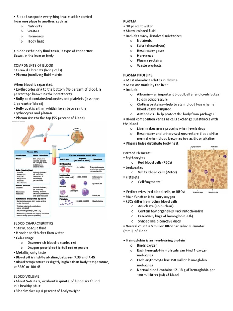 Blood - Notes | PDF | White Blood Cell | Blood Type