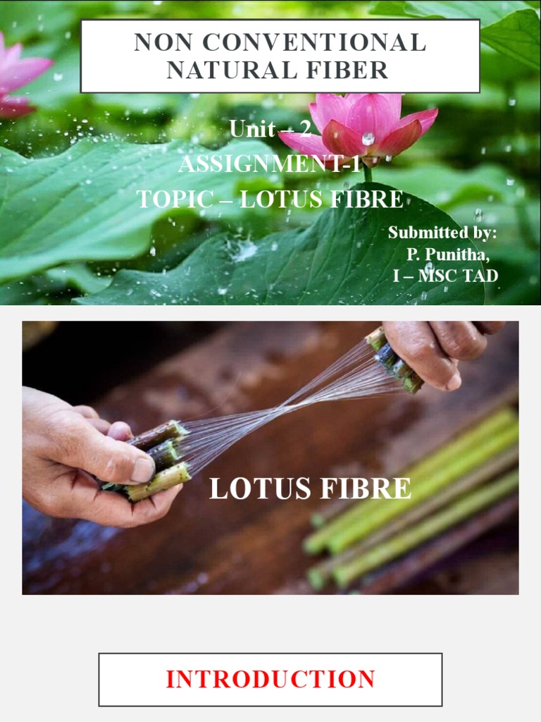 Non Conversational (Lotus Fibre) | PDF