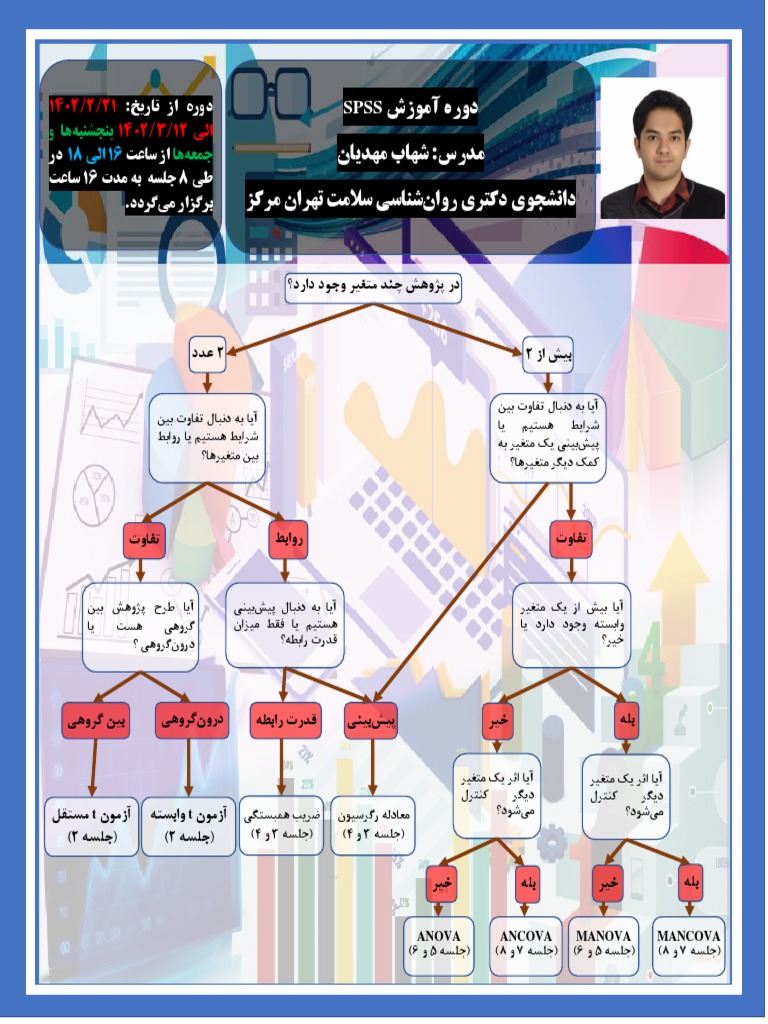 Spss Workshop Poster | PDF