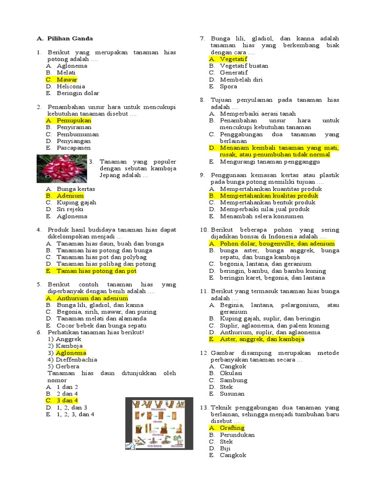 Kisi-Kisi Pts Genap 2022-2023 | PDF