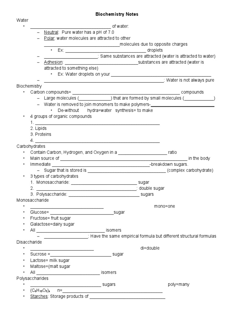Biochemistry Guided Notes Student Sheet | PDF | Carbohydrates ...