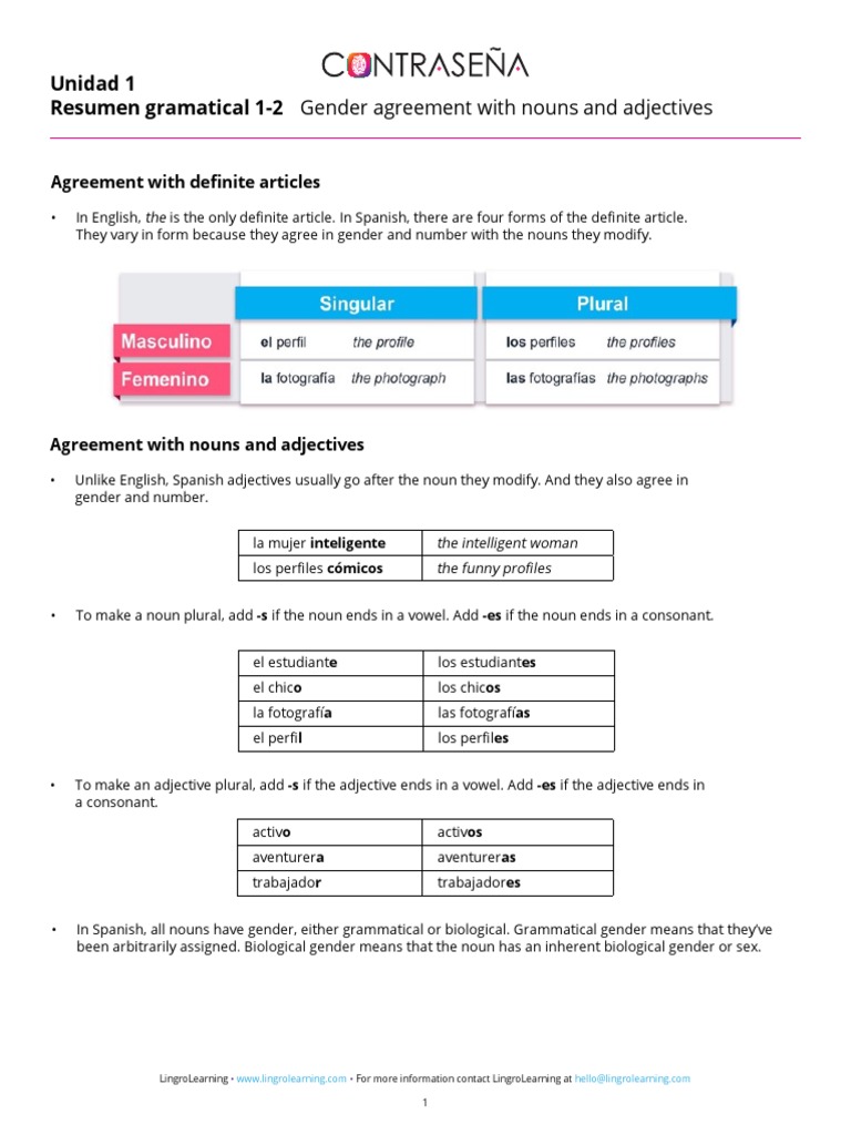 Contrasena 01 Gramatica II | PDF | Grammatical Gender | Noun